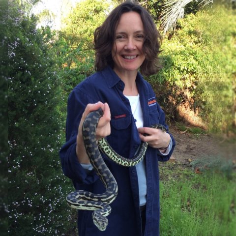 Jenny Seymour – Snake Avoidance Training for Dogs